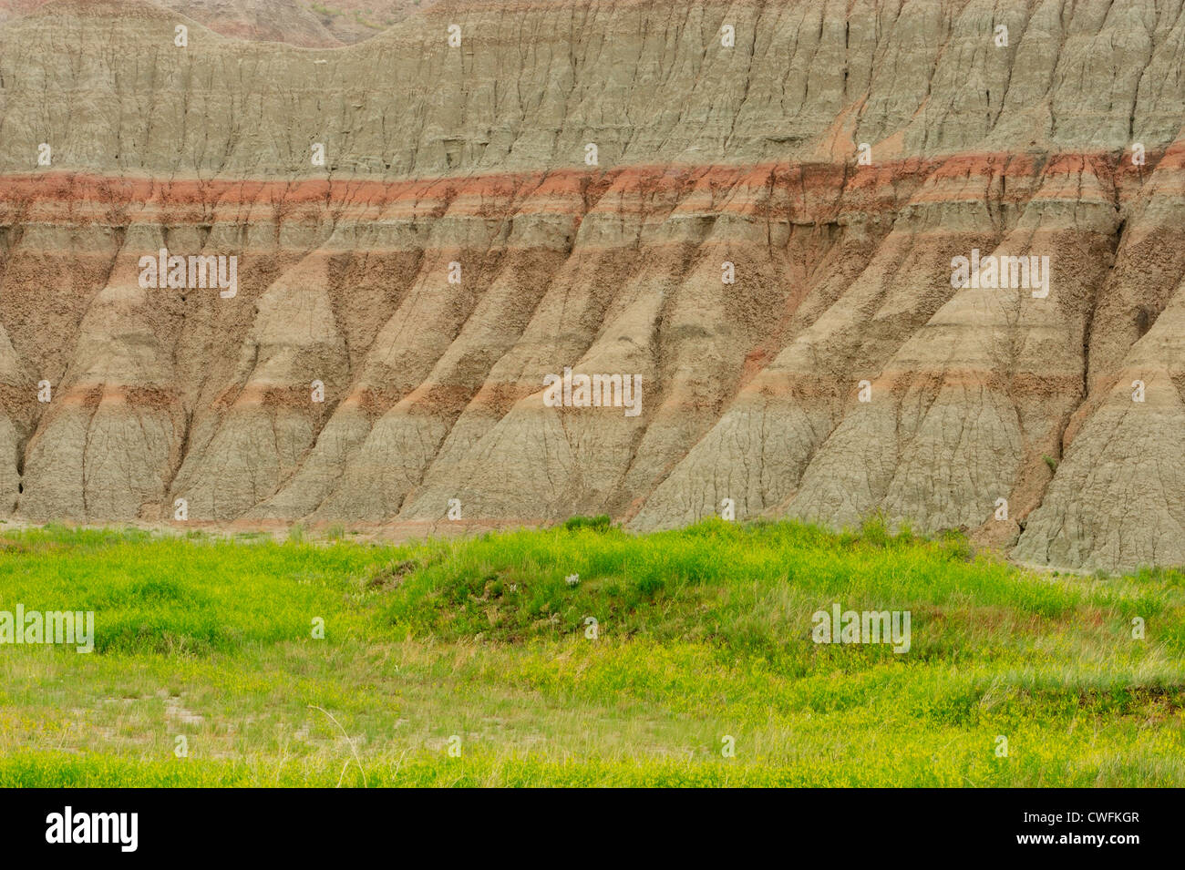 Eroded mudstones displaying sediment layers with plant community ...