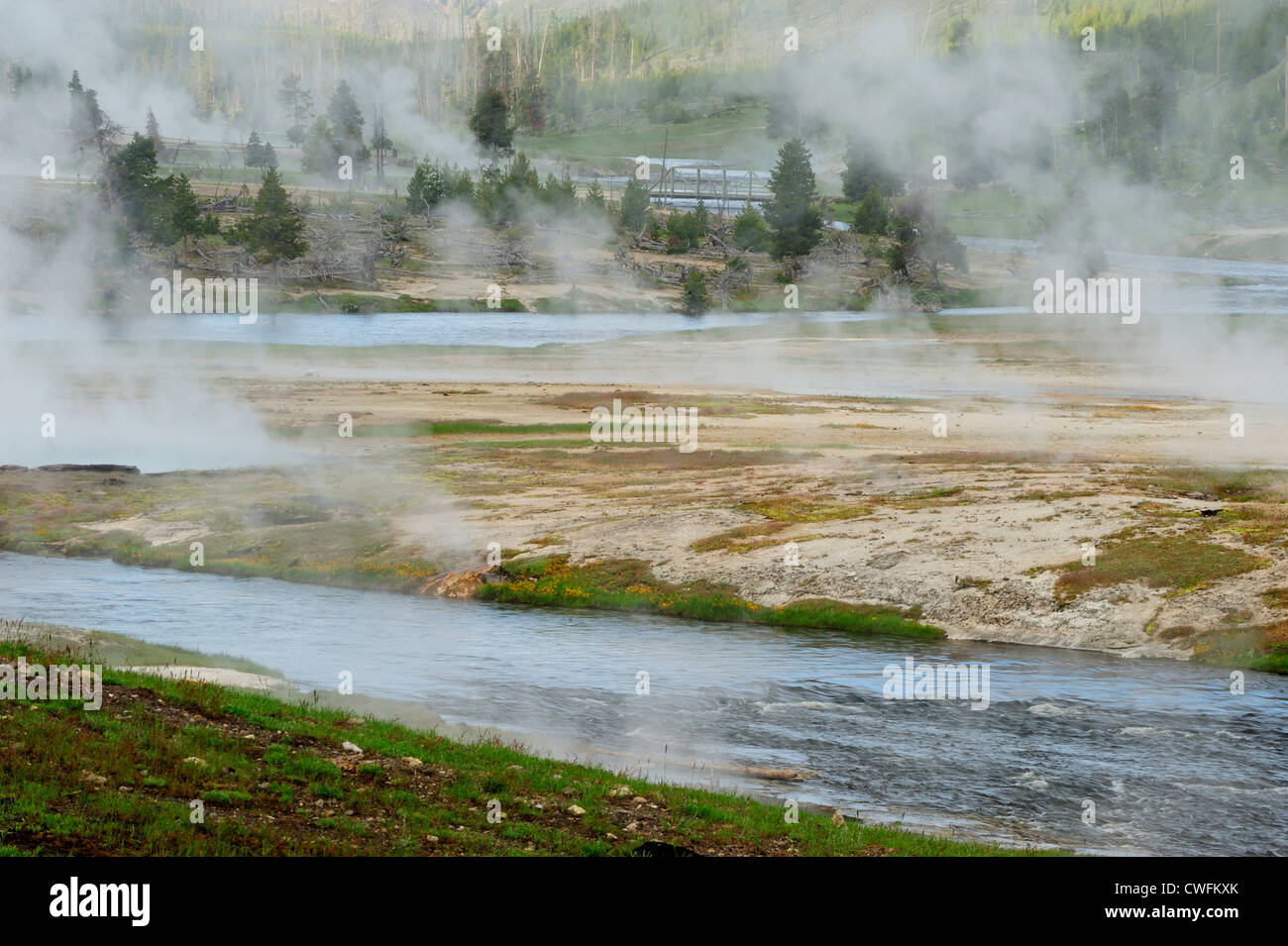 Firehole River with steam from hot springs, Yellowstone National Park ...