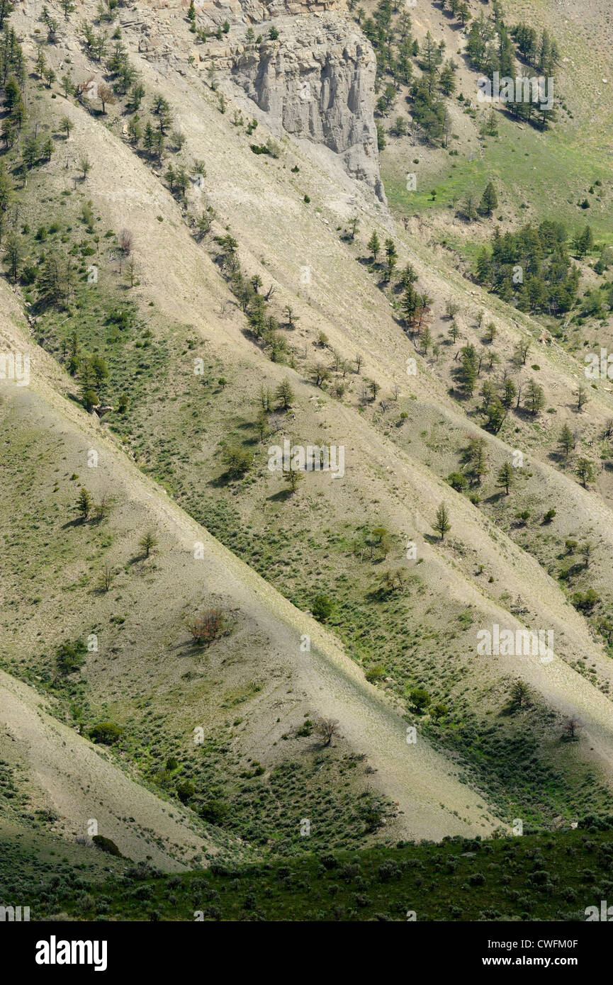 Eroded gullies in the Gardner Valley, Yellowstone National Park ...