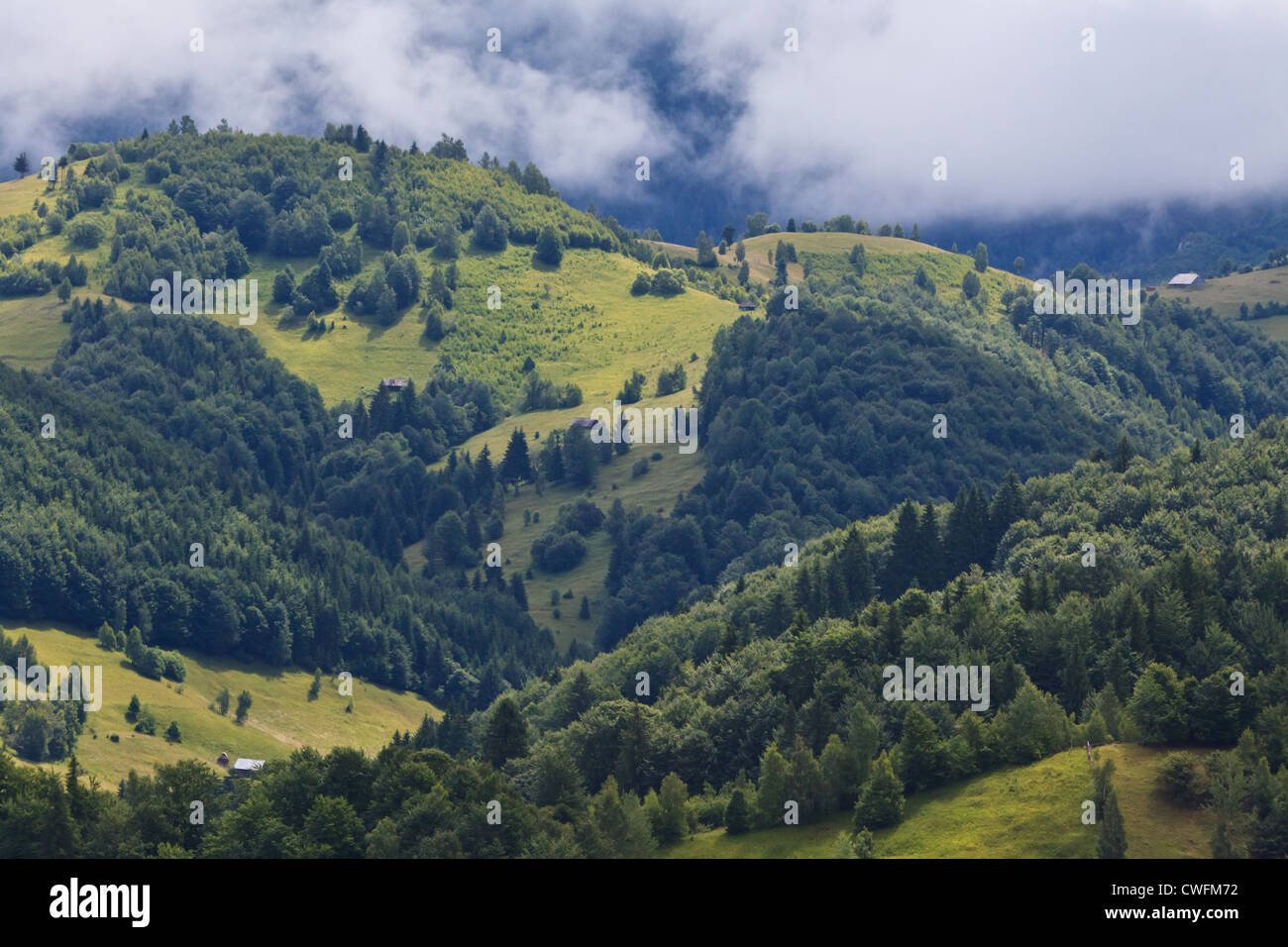 hill in the fog Stock Photo - Alamy