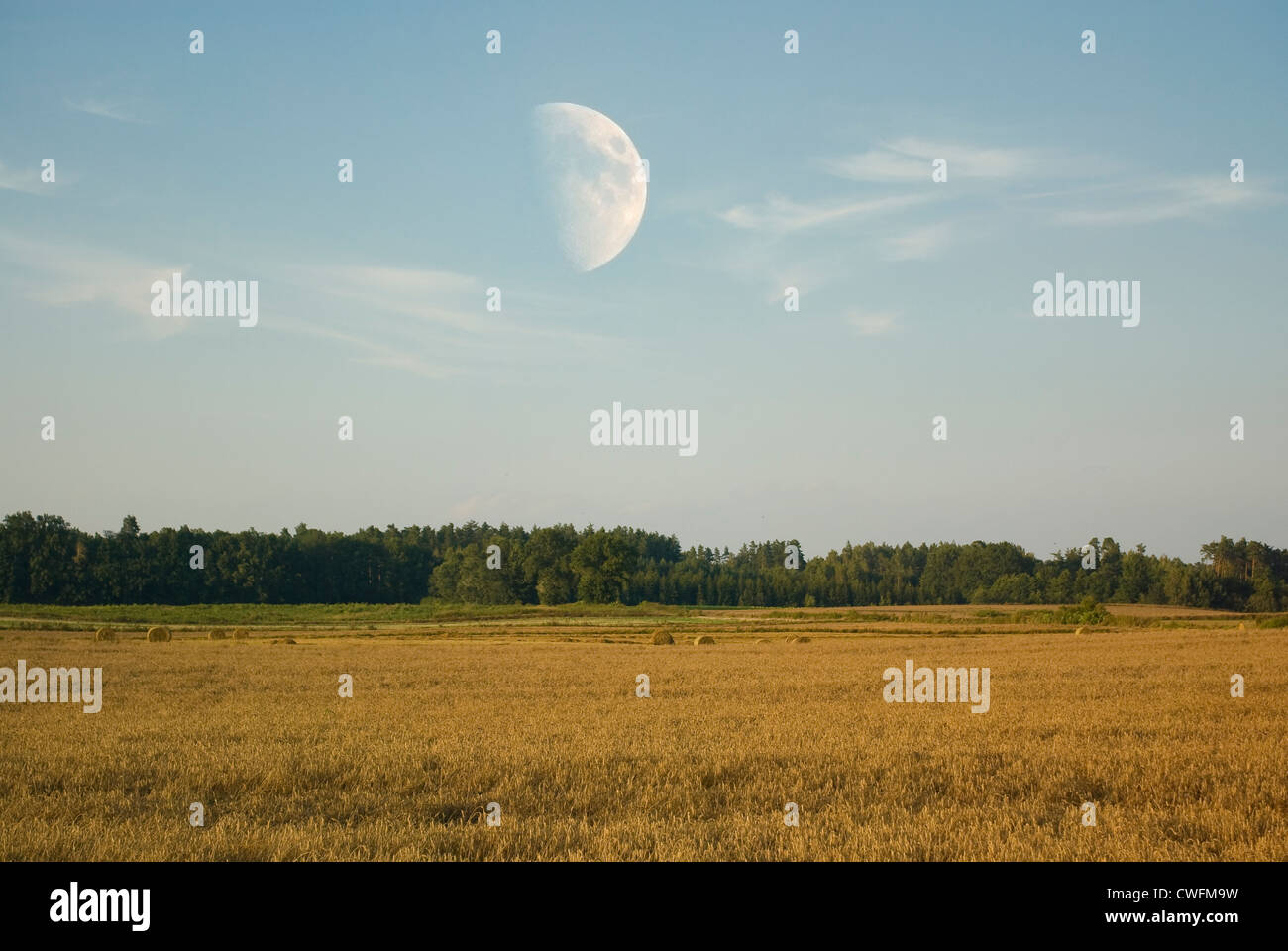 field and moon Stock Photo - Alamy