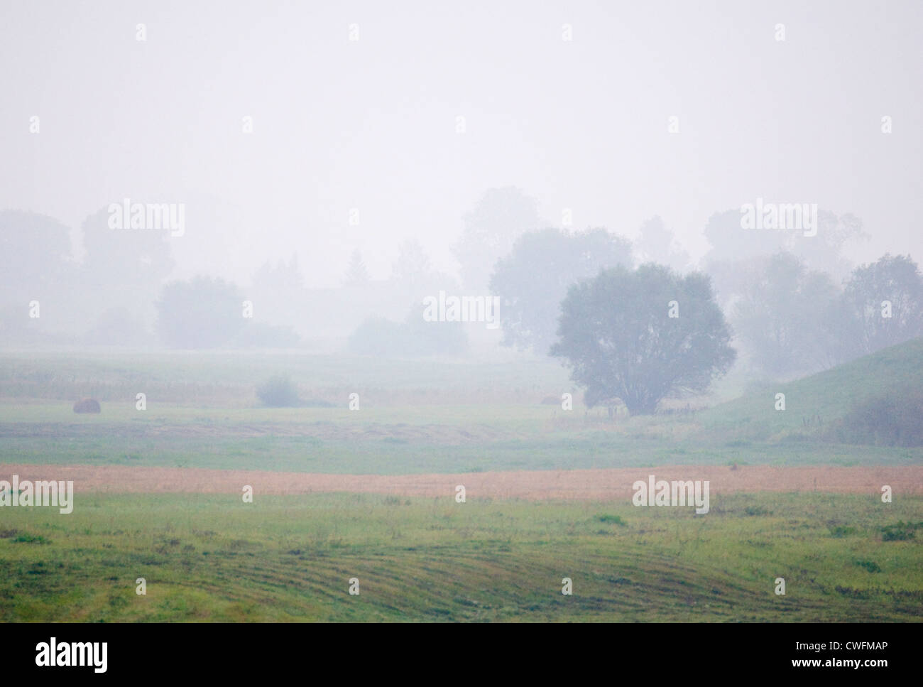Mist meadow hi-res stock photography and images - Alamy