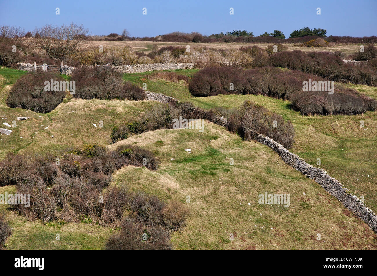 A view of Durlston Country Park Dorset Stock Photo - Alamy