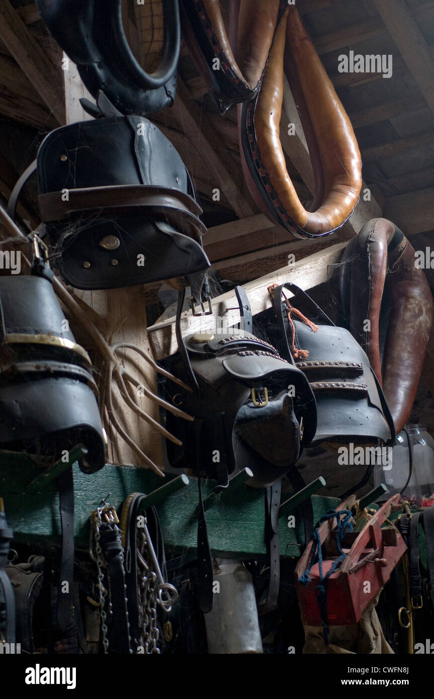 tack room,brown, cattle, chestnut, contrast, control, country, cowboy ...