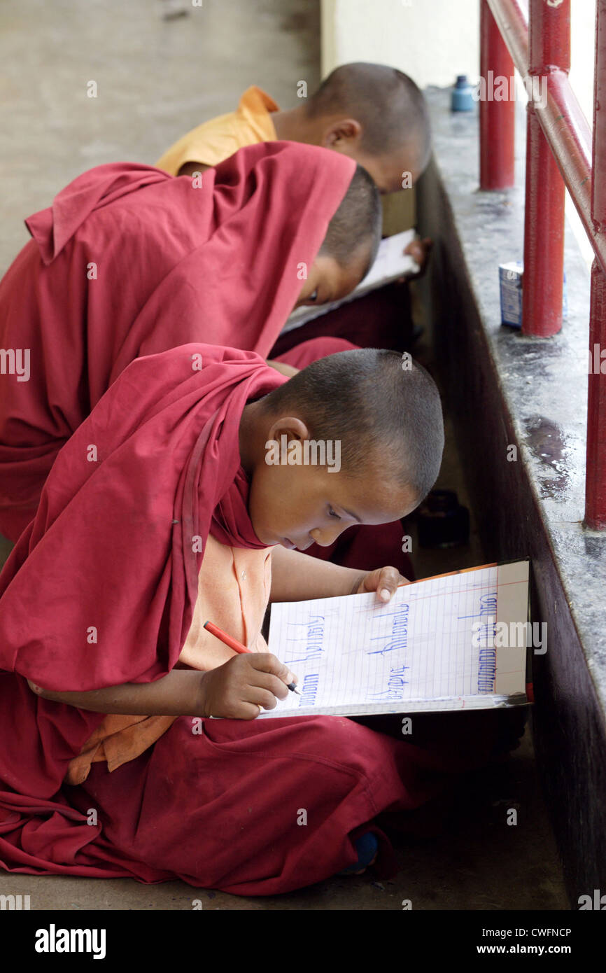 Young Buddhist monks when writing characters Stock Photo - Alamy