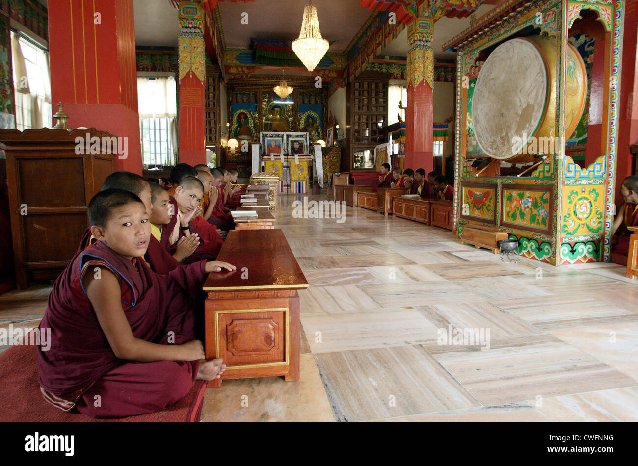 Young Buddhist monks in robes sitting in a monastery Stock Photo - Alamy