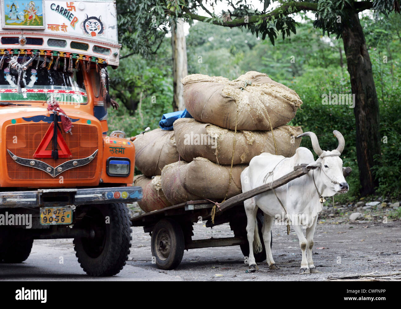 Loaded carts hi-res stock photography and images - Alamy