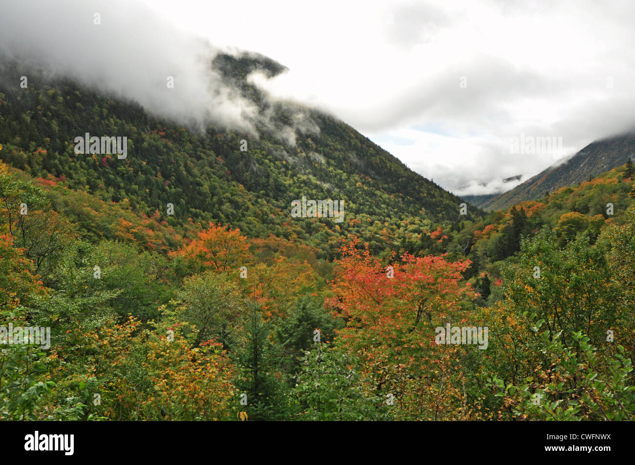 Crawford notch state park fall hi-res stock photography and images - Alamy