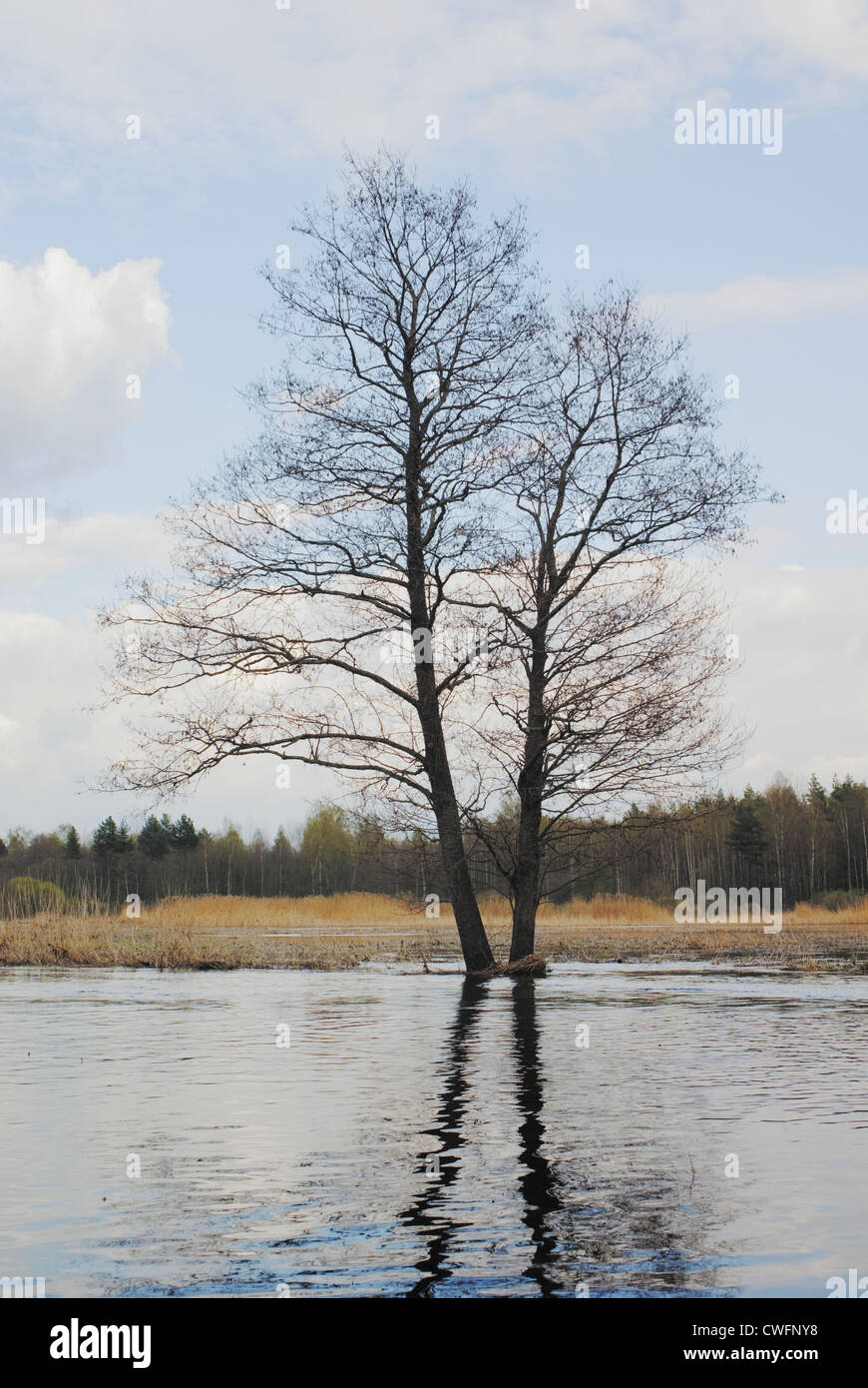 Mirror filled area hi-res stock photography and images - Alamy