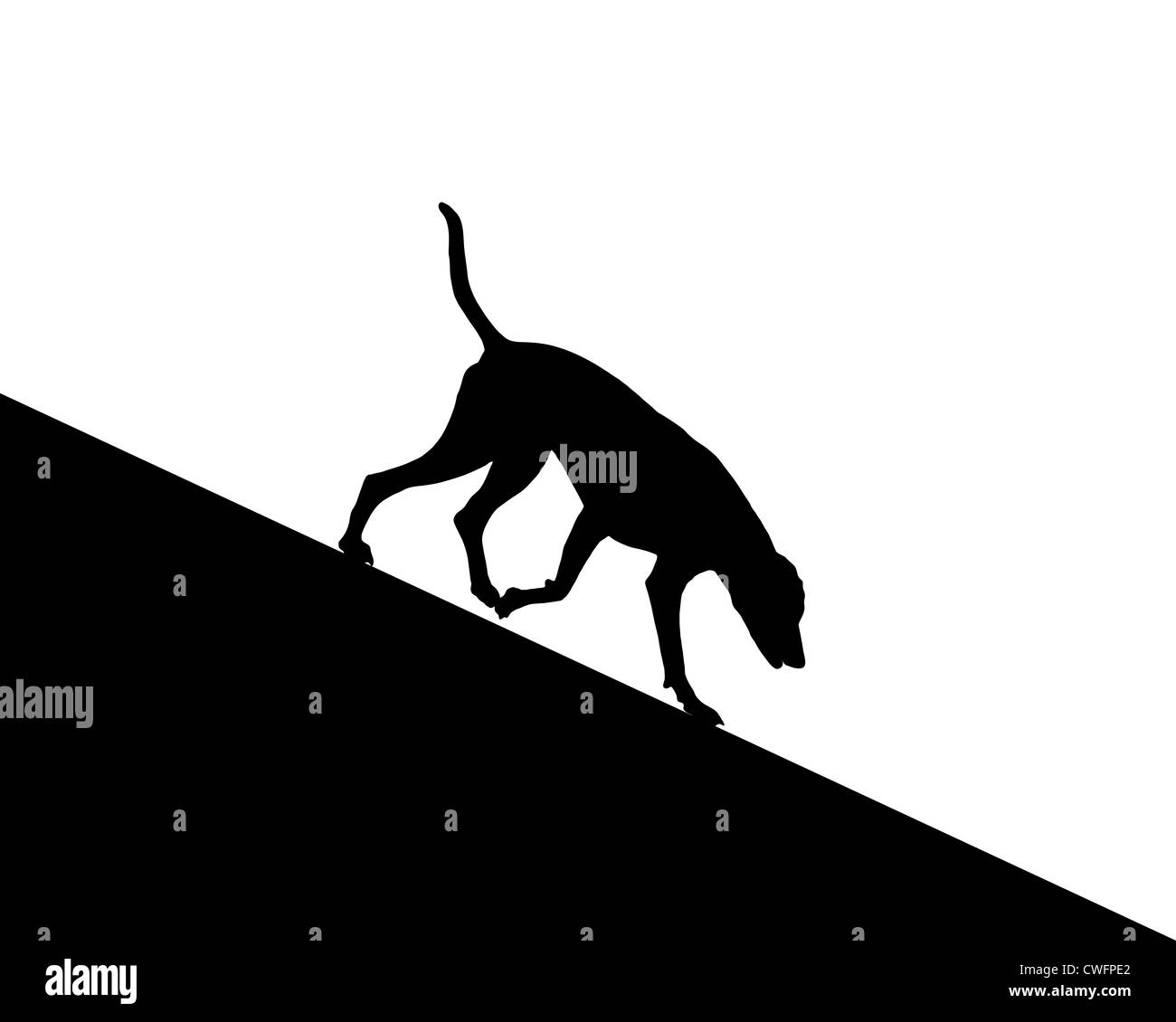 Dog runs downhill Stock Photo - Alamy