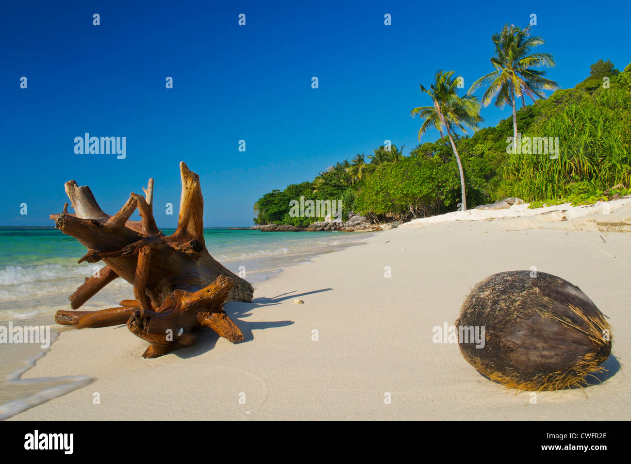 Tropical beach of the Karimunjawa Island, Giava, Indonesia Stock Photo ...