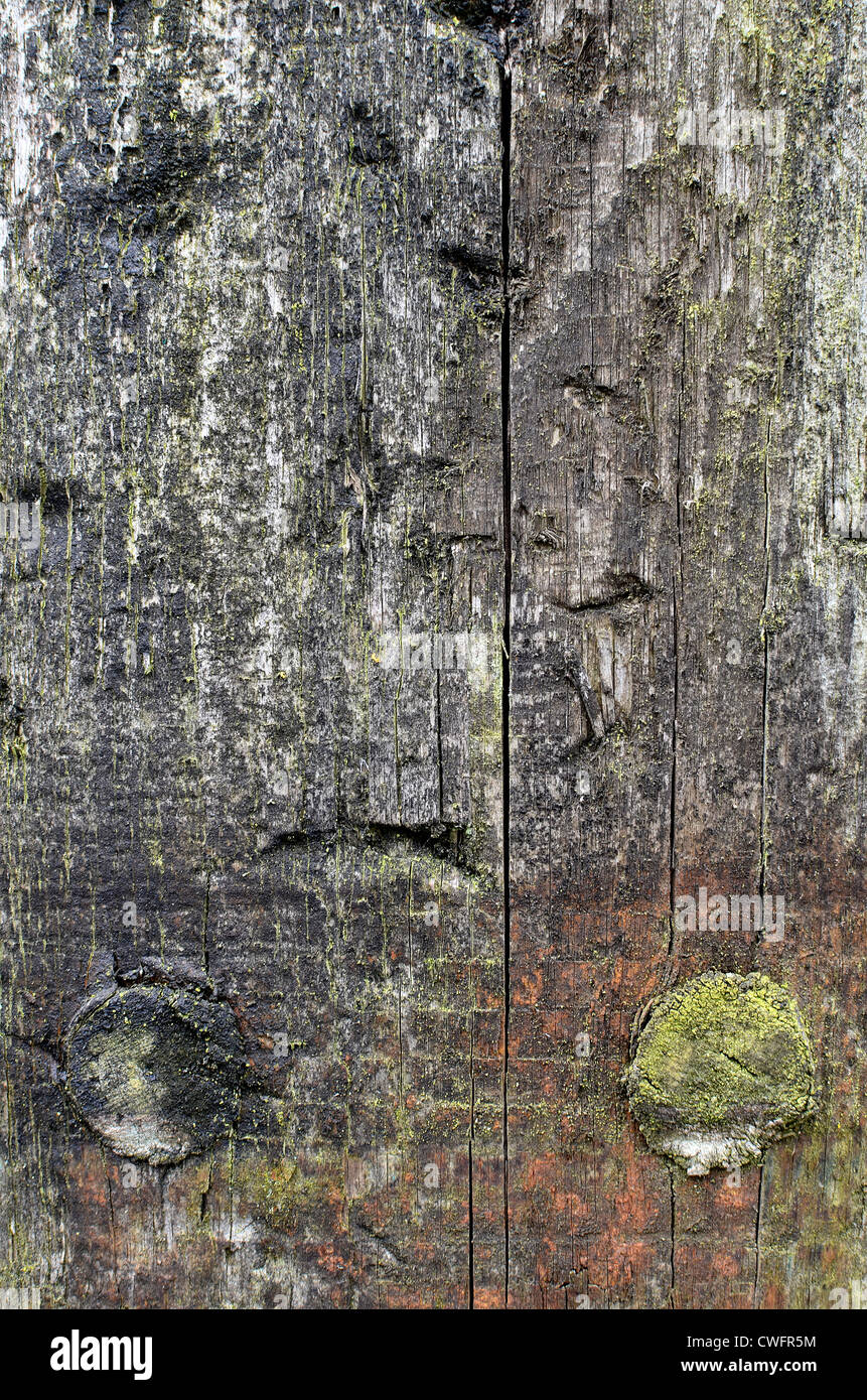 Railway sleeper texture hi-res stock photography and images - Alamy