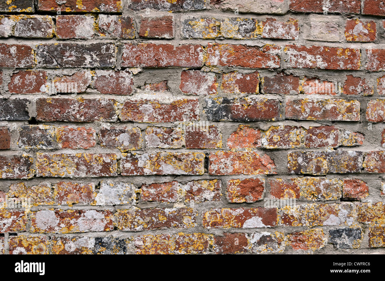 Old english brickwork hi-res stock photography and images - Alamy