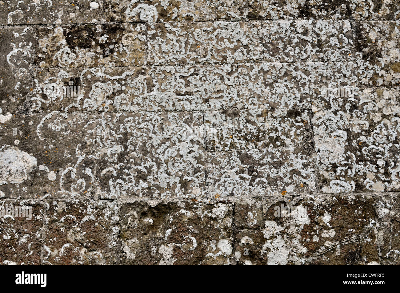 Sandstone covered building hi-res stock photography and images - Alamy