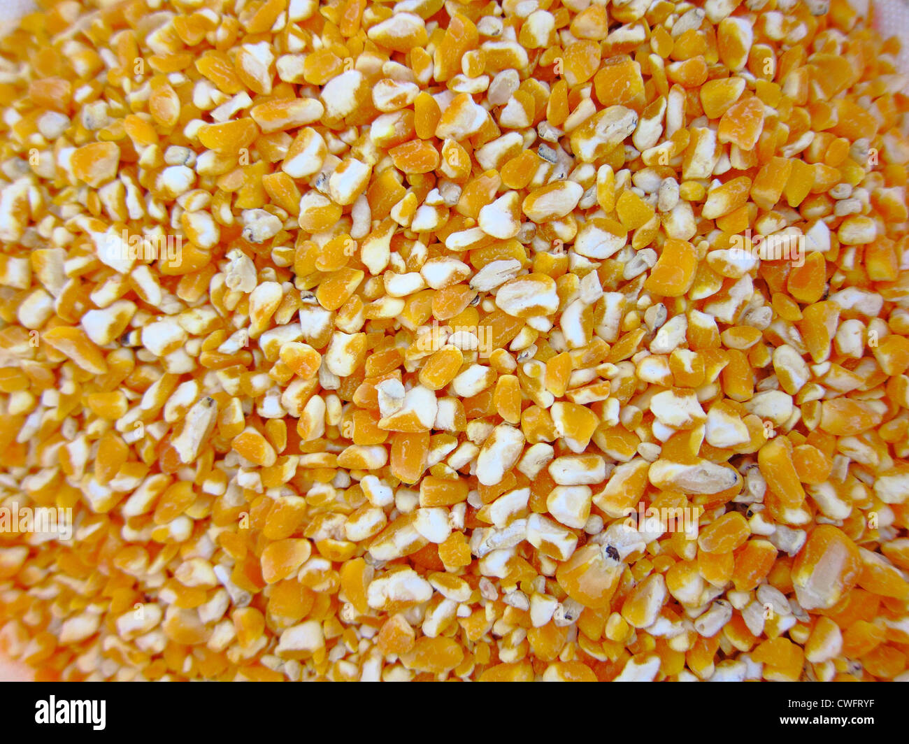 Corn germ hi-res stock photography and images - Alamy