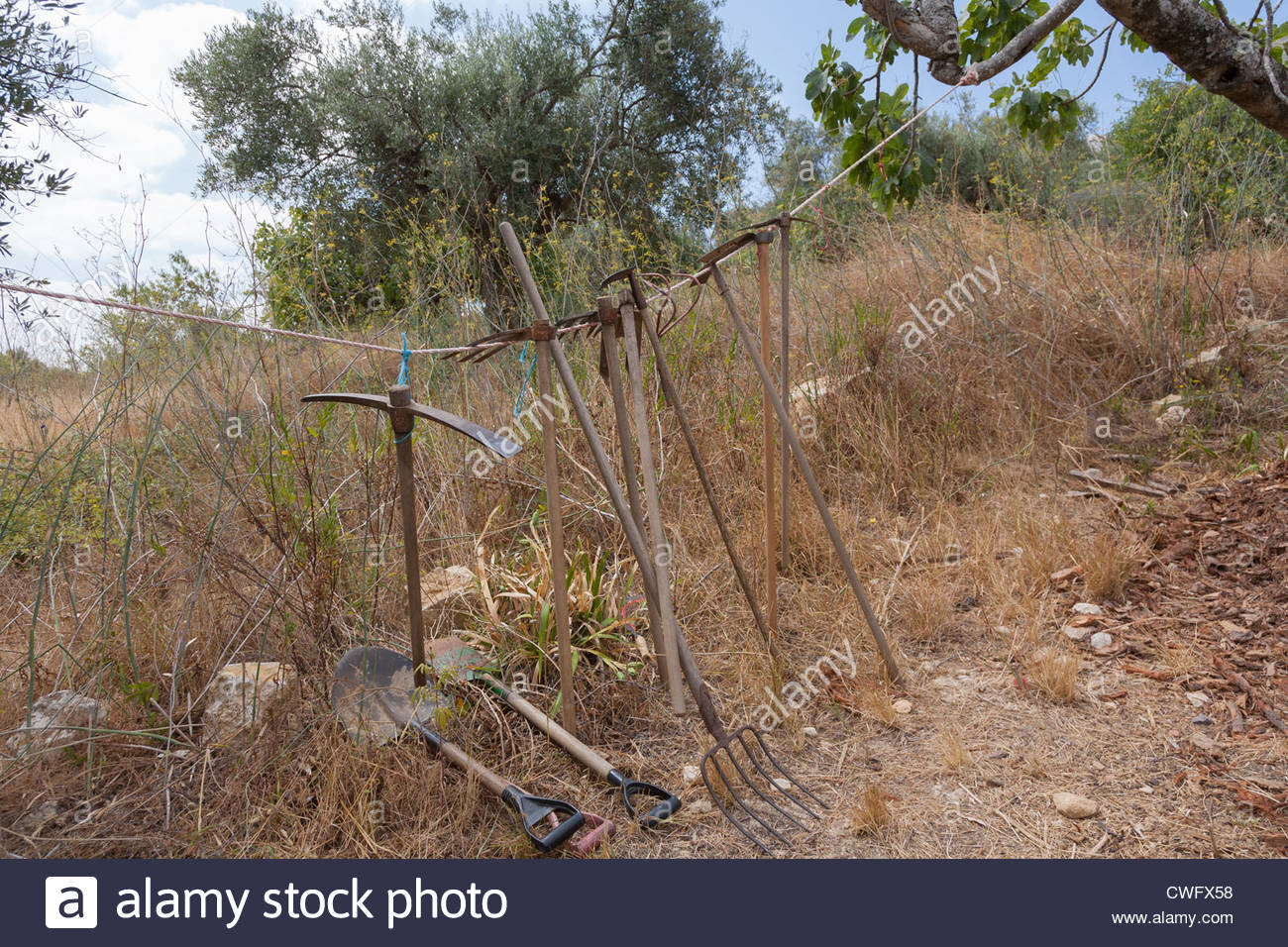 Hoe Handles High Resolution Stock Photography and Images - Alamy