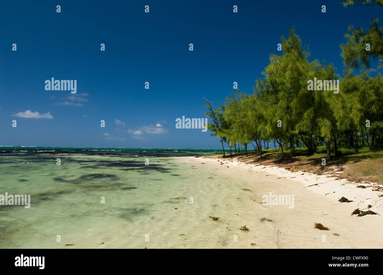 Desert island (Mauritius Stock Photo - Alamy