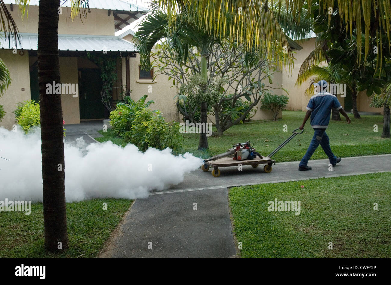 Moscitos hi-res stock photography and images - Alamy