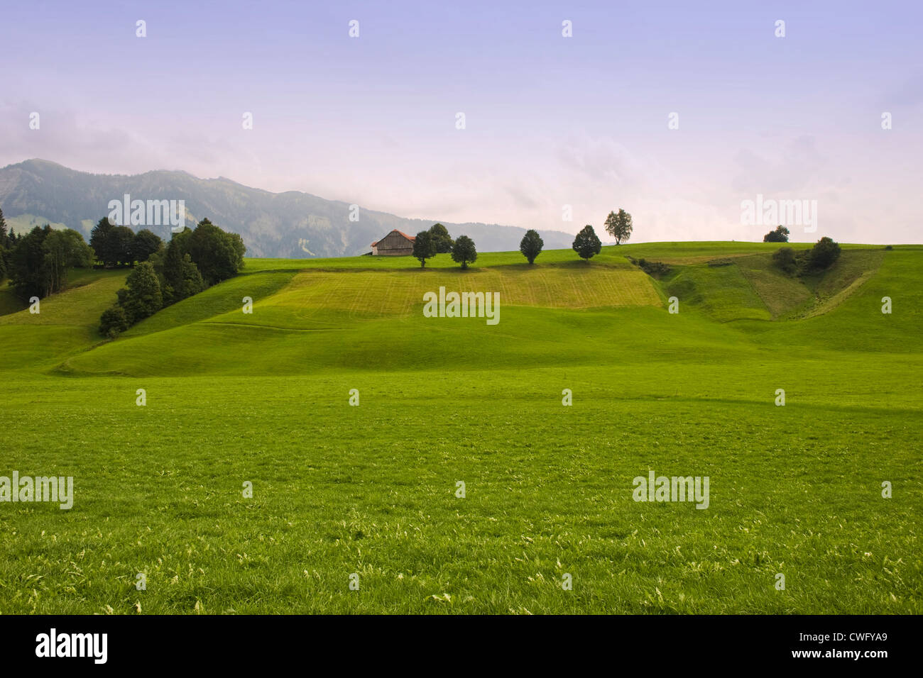 Switzerland, Canton Bern, Emmental land Stock Photo - Alamy