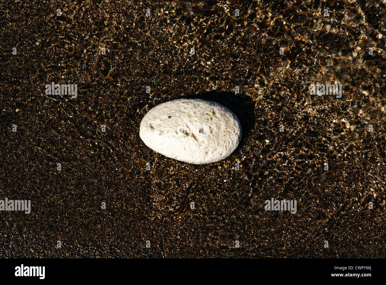Pumice Floating In Water