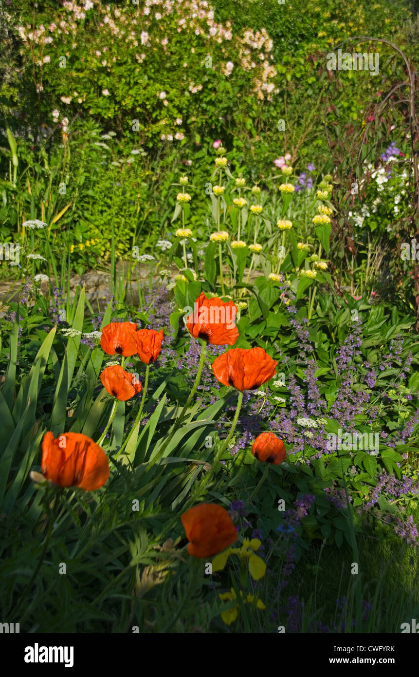 Mixed flowers mixture plants hi-res stock photography and images - Alamy