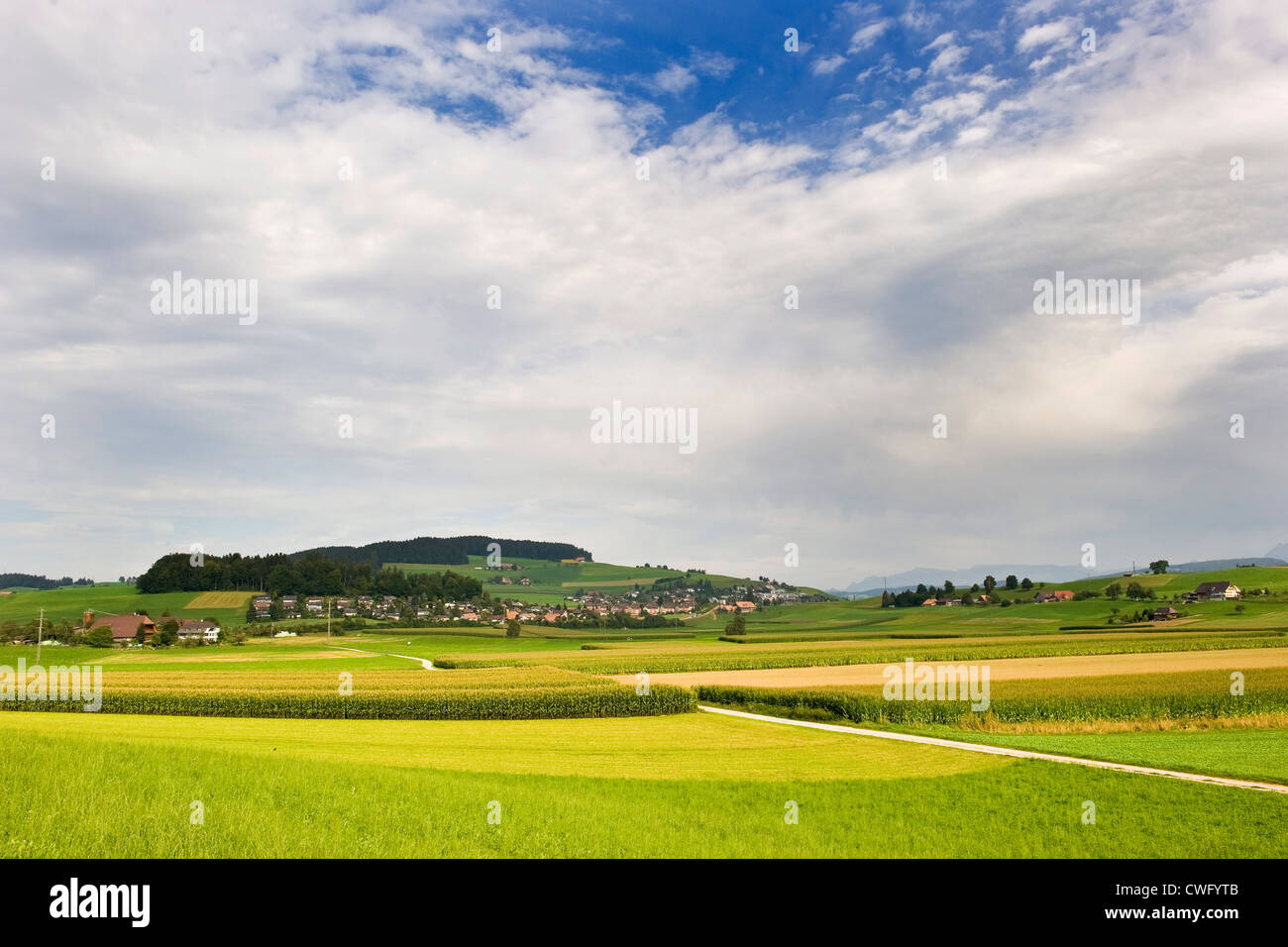 Switzerland, Canton Bern, Emmental land Stock Photo - Alamy