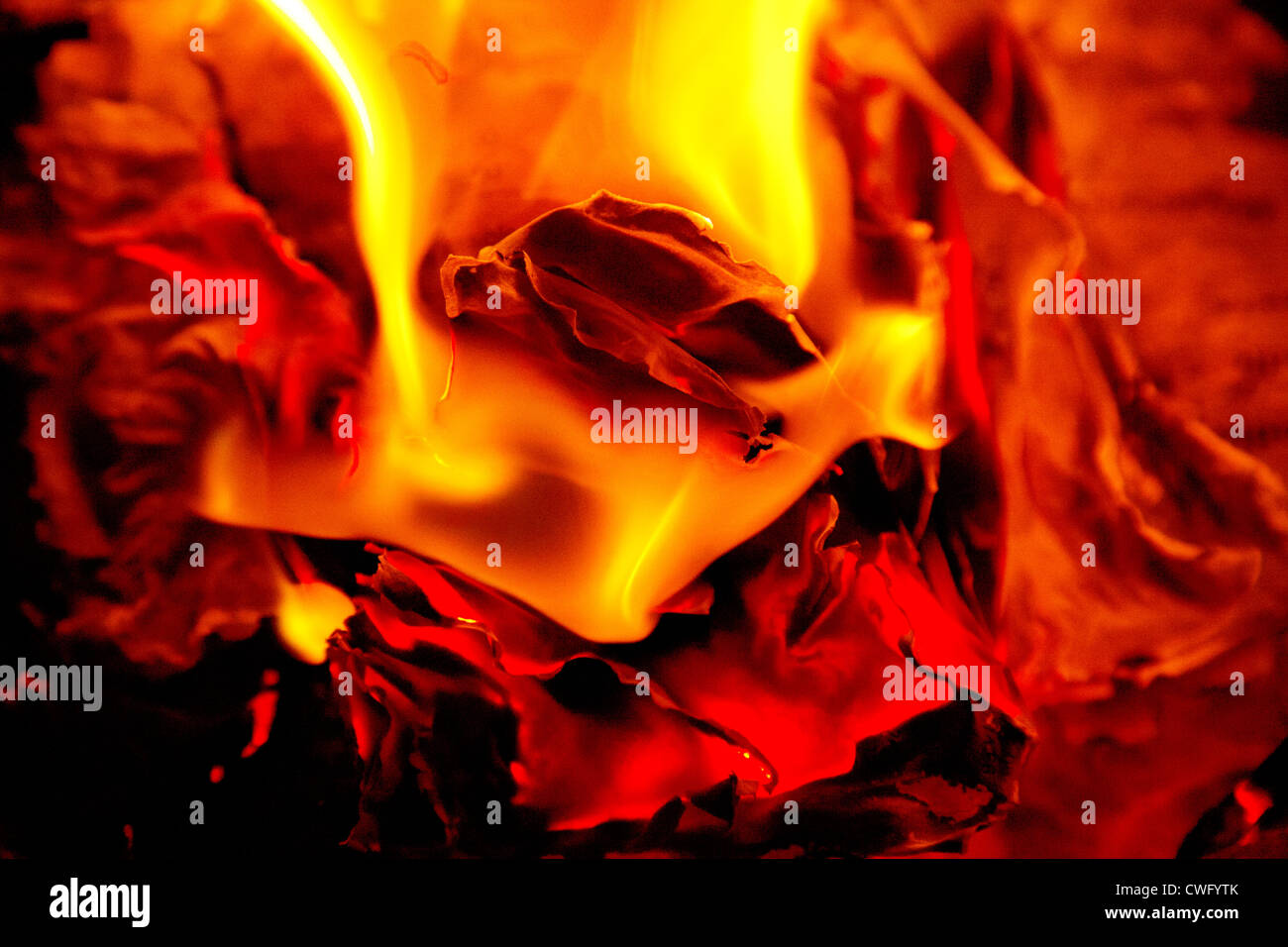 Old paperwork burning in a fire Stock Photo - Alamy