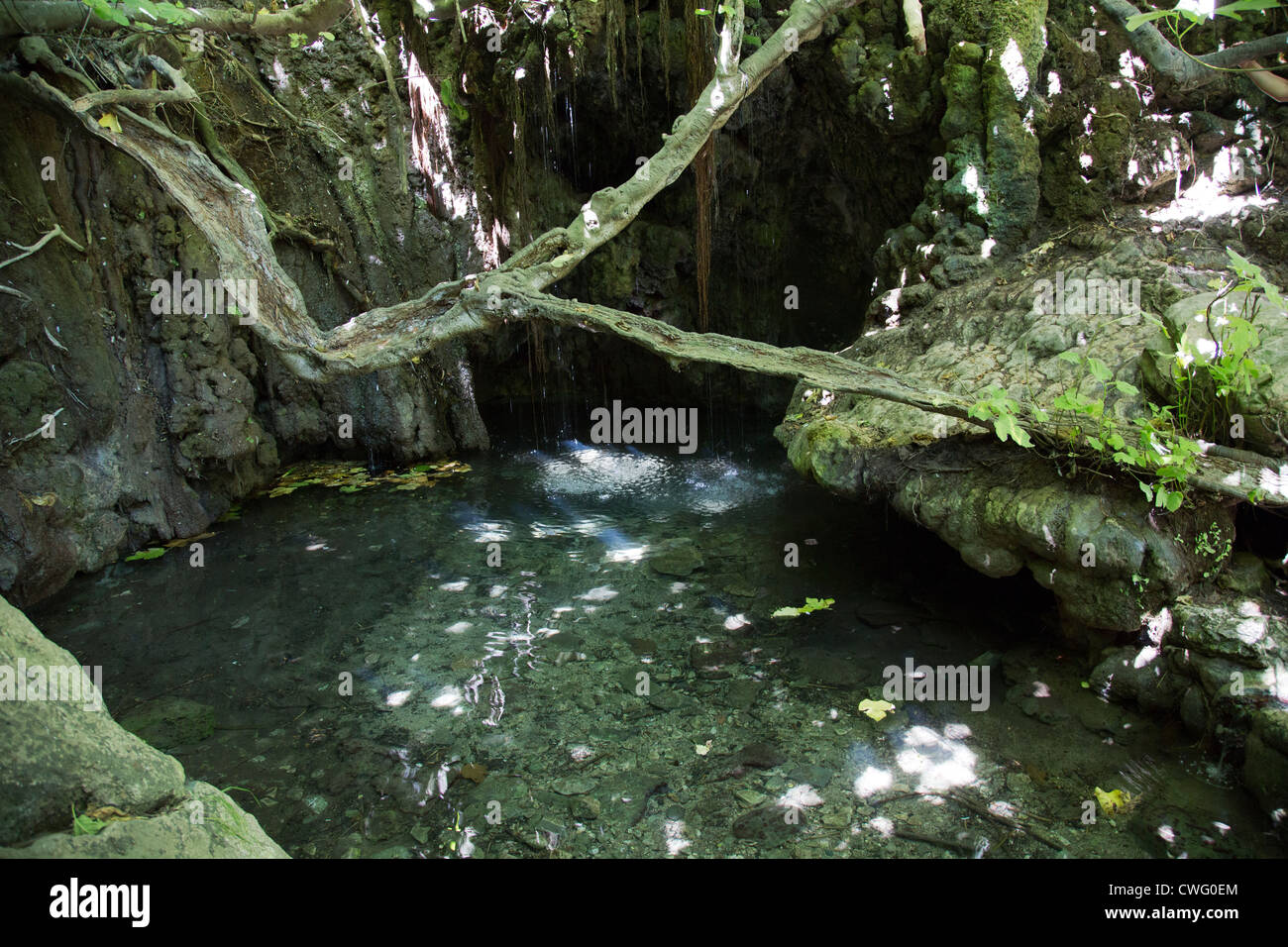 The Baths of Aphrodite, a popular tourist visit on the Island of Cyprus ...