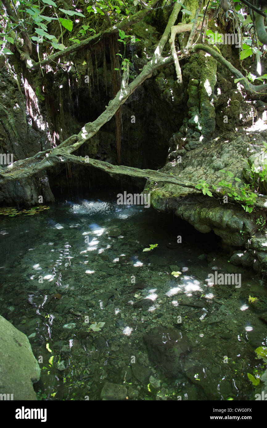 The Baths of Aphrodite, a popular tourist visit on the Island of Cyprus ...