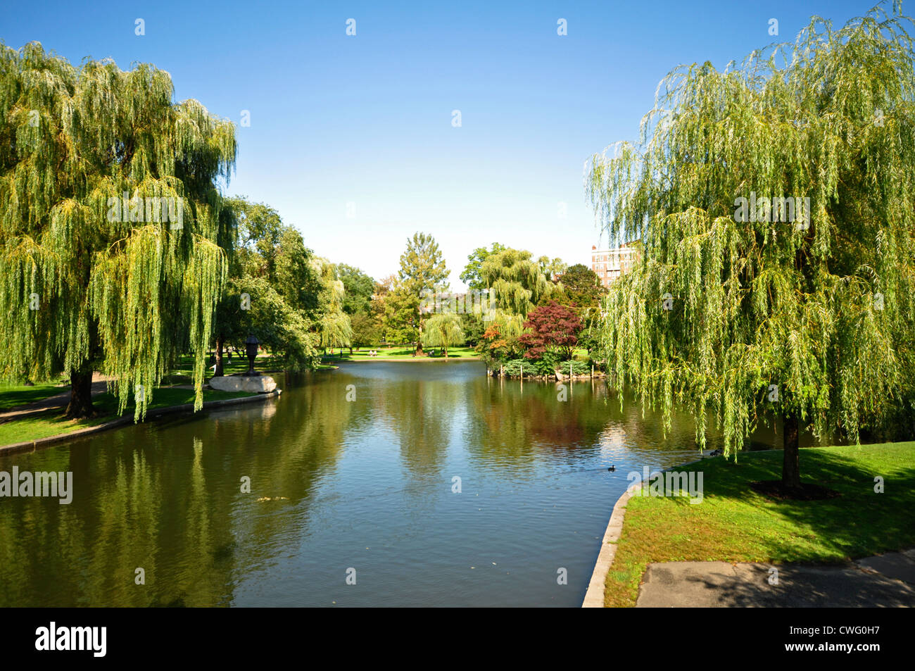 Boston common boston lake hi-res stock photography and images - Alamy