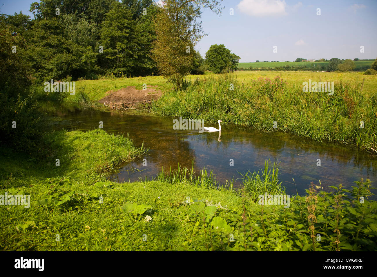Brockdish norfolk hi-res stock photography and images - Alamy