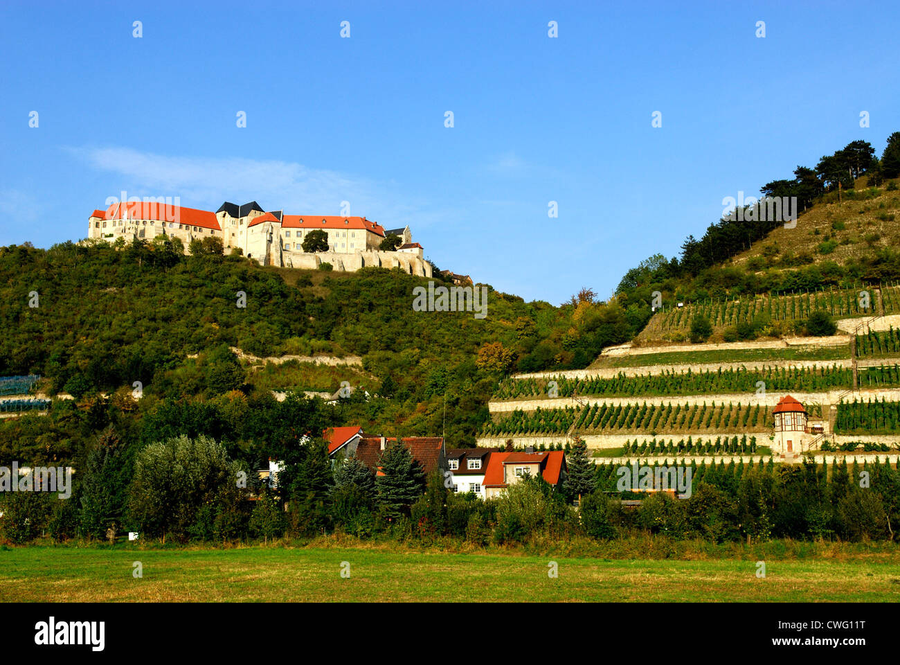 Freyburg, Neuenburg castle with vineyards Stock Photo - Alamy