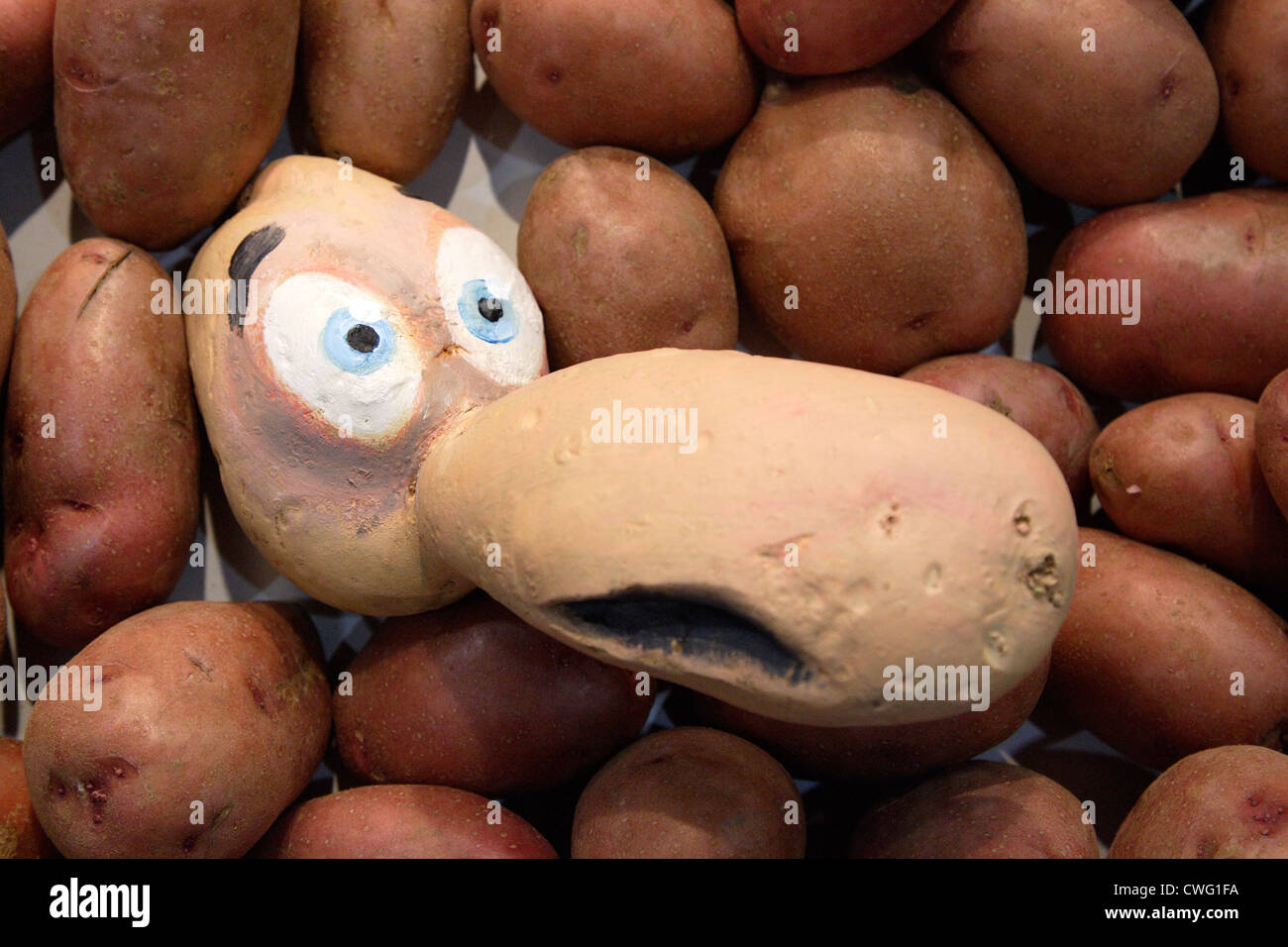 Potato nose hi-res stock photography and images - Alamy