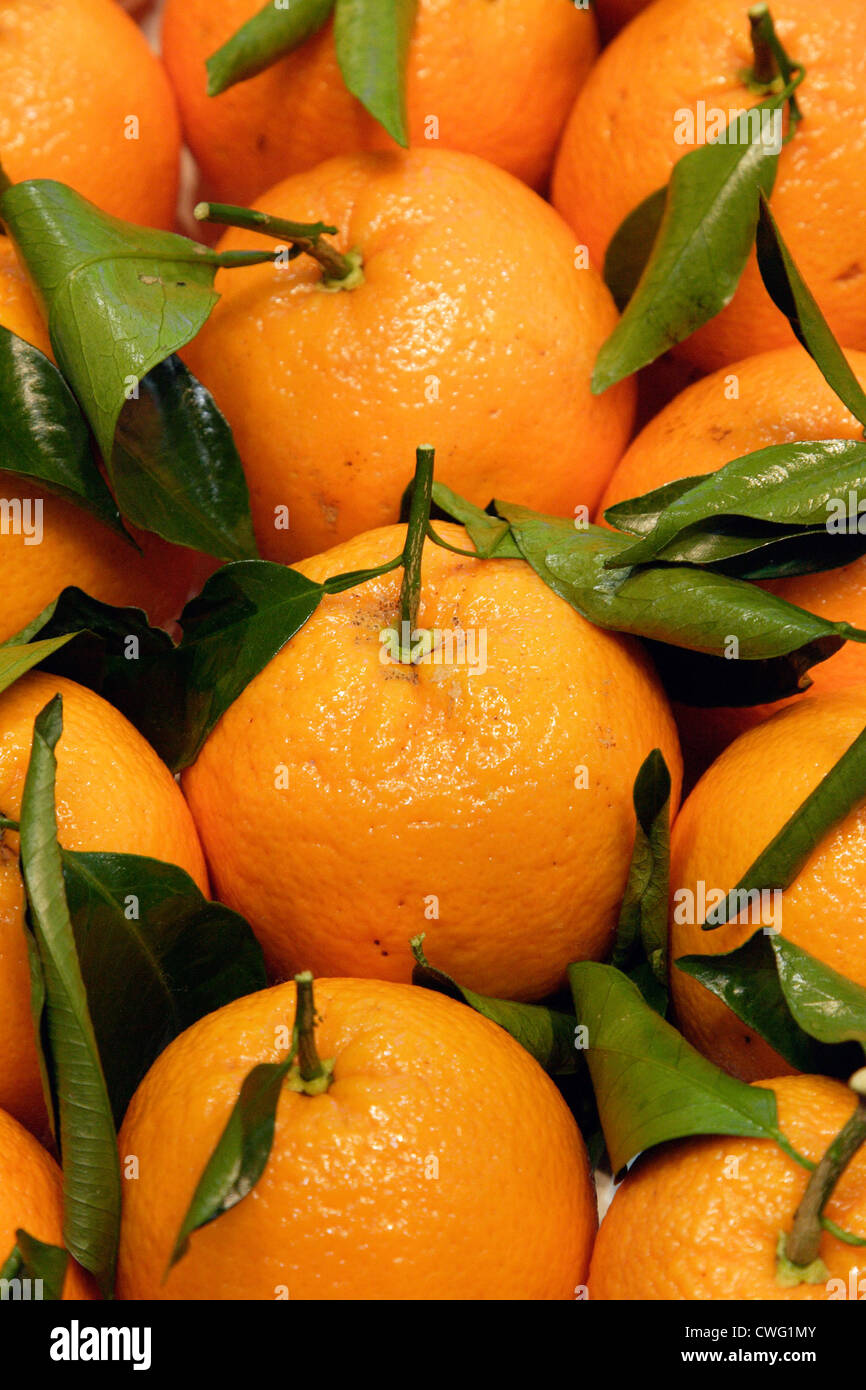 Berlin oranges hi-res stock photography and images - Alamy