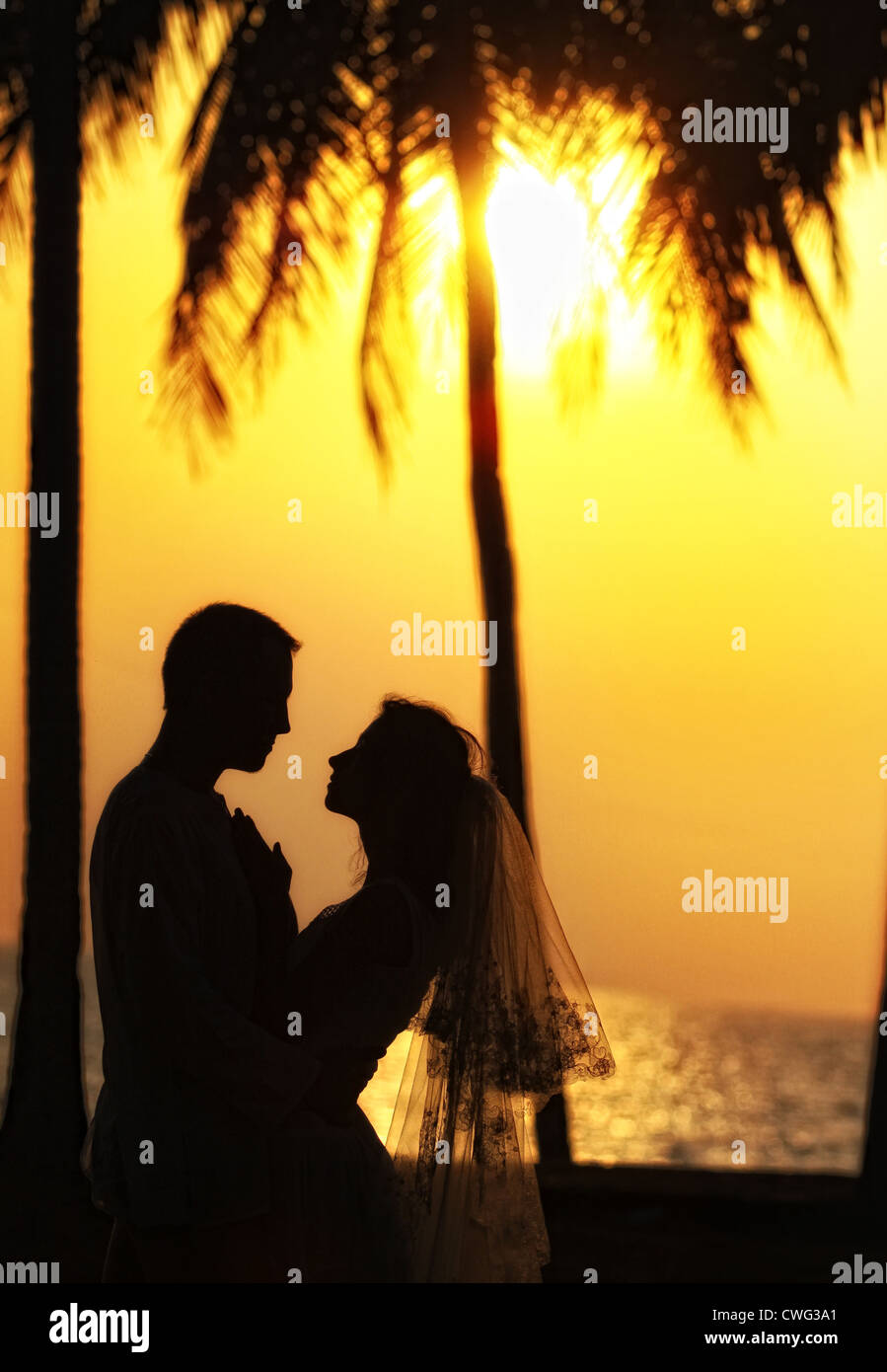 Wedding on a sunset Stock Photo - Alamy