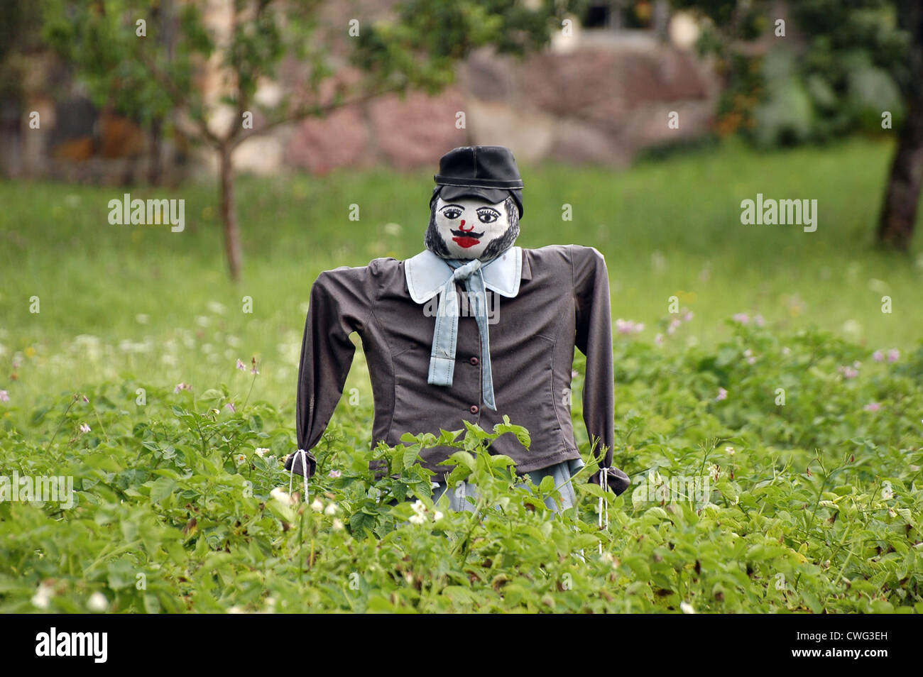 Male scarecrow hi-res stock photography and images - Alamy