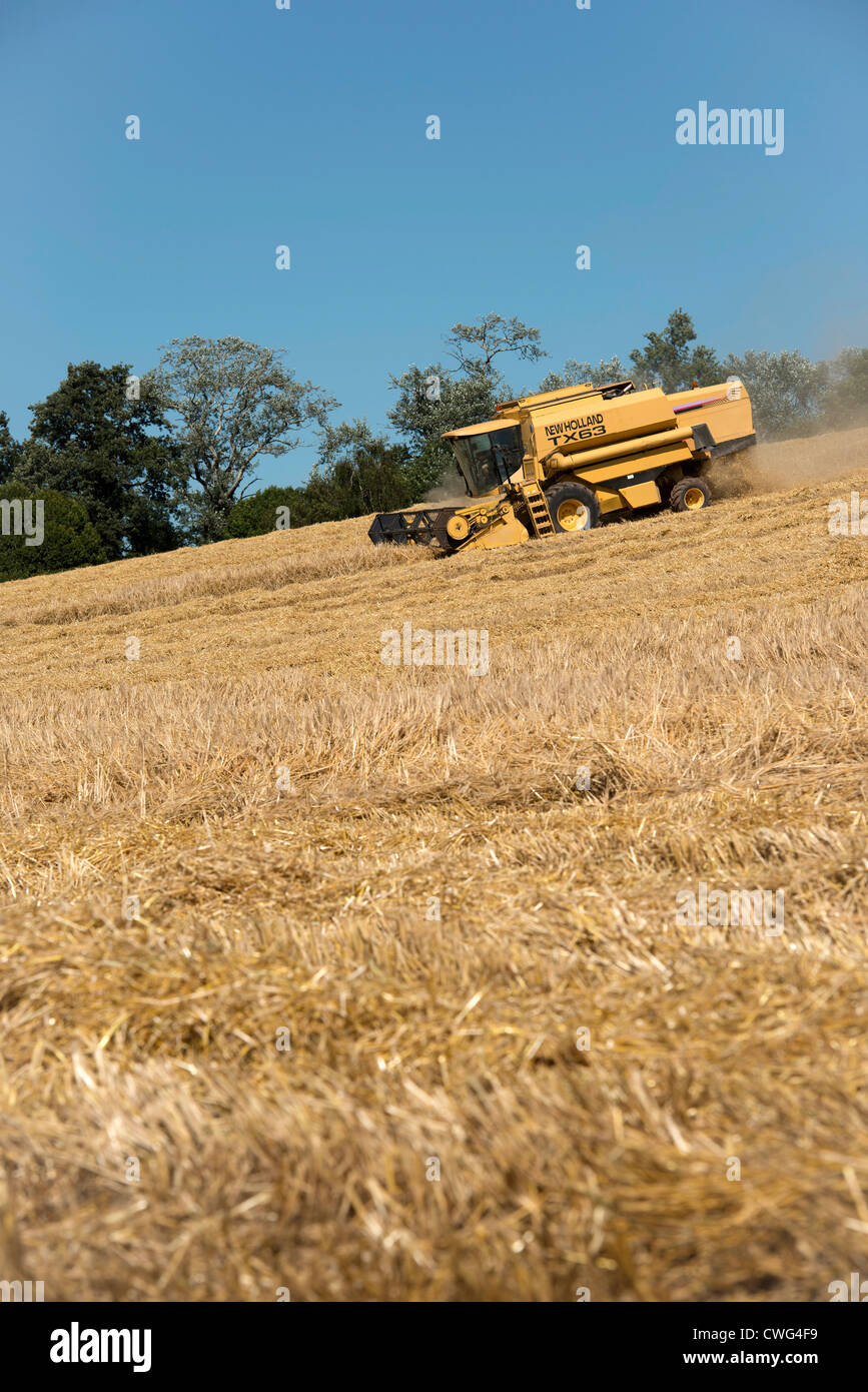 A combine harvester reaping the Devon wheat fields Stock Photo - Alamy
