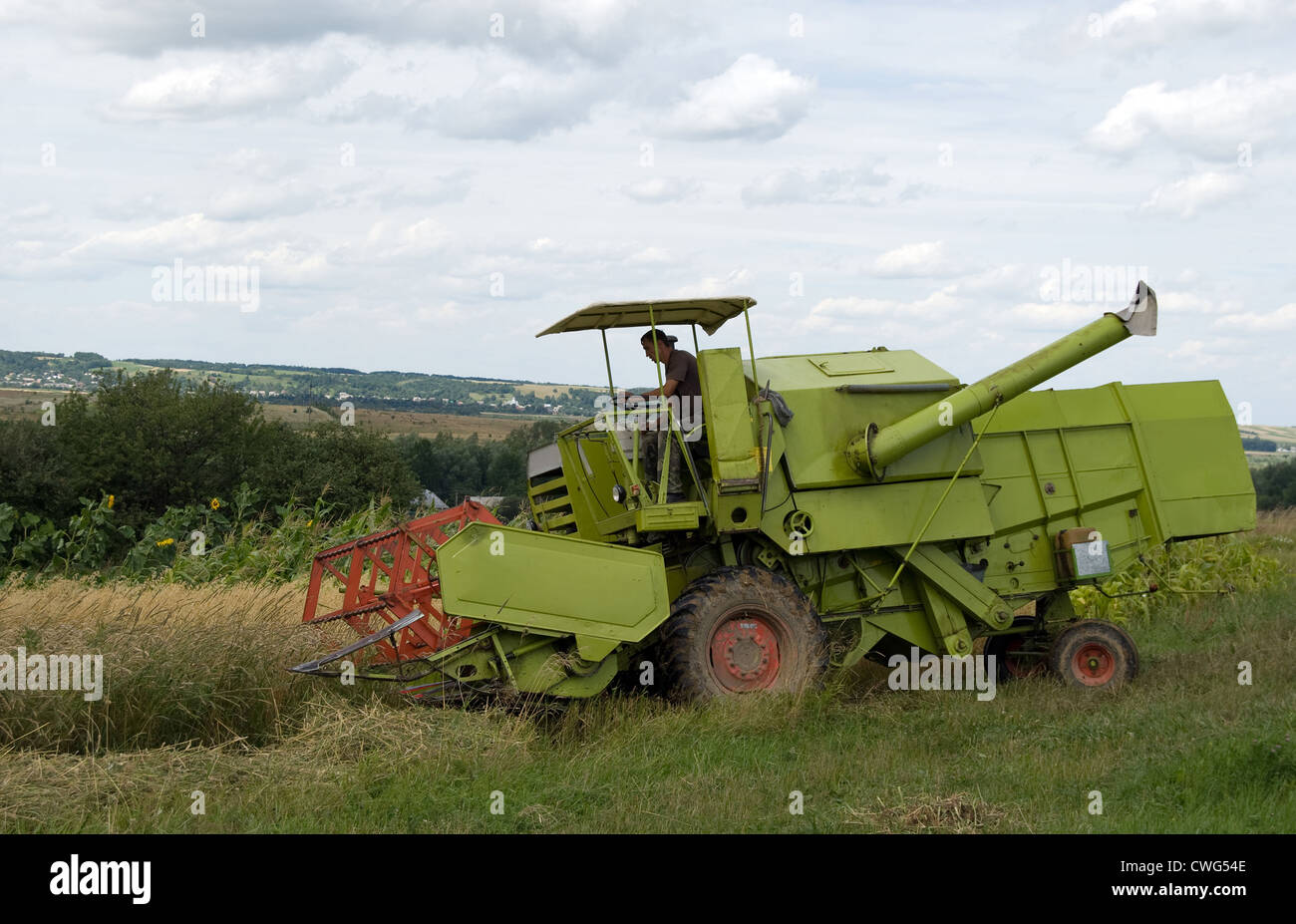 combine harvesting a wheat field Stock Photo - Alamy