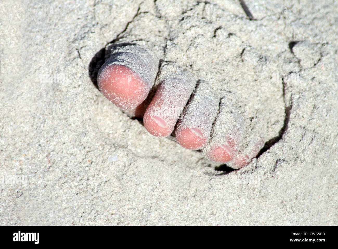 Foot of child buried in sand showing toes, holiday concept with copy ...