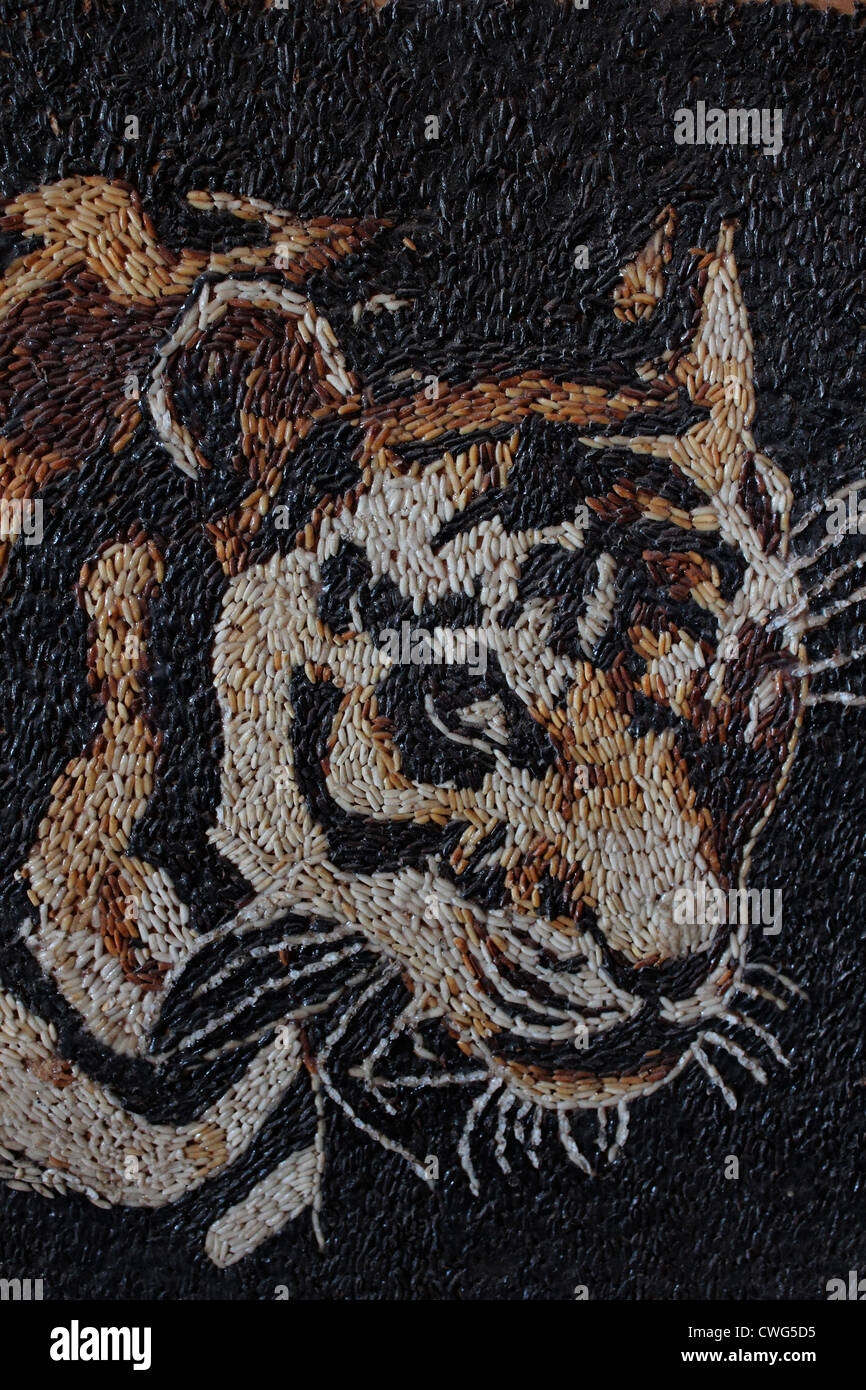 A tiger picture made from rice Stock Photo - Alamy