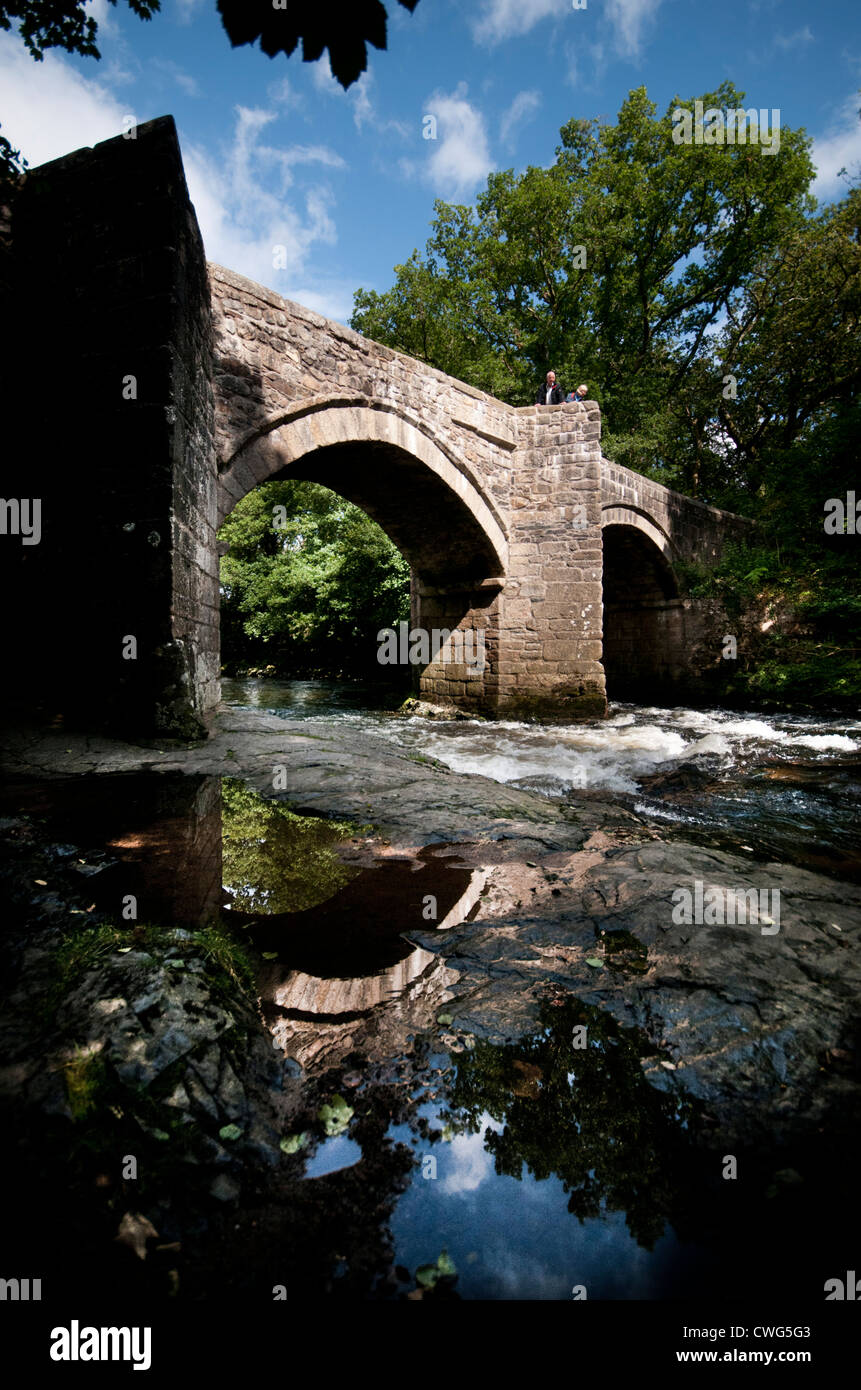 Dartmoor National Park, New Bridge on River Dart, near Holne Woods Dartmoor, Devon, England, UK ...