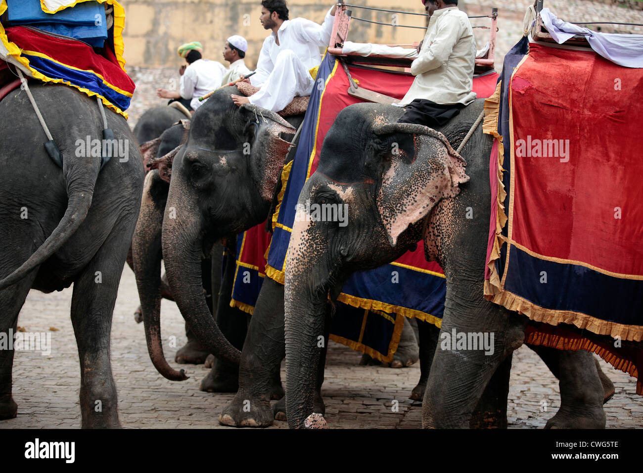 Elephants At The Amber Fort Stock Photo - Alamy