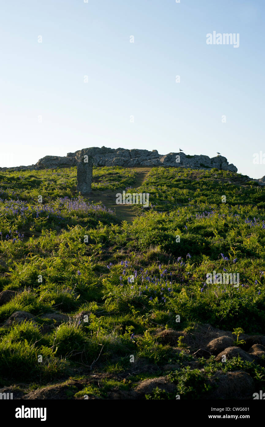 Harold stone hi-res stock photography and images - Alamy