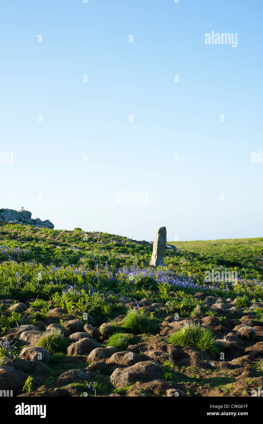 Harold Stone High Resolution Stock Photography and Images - Alamy
