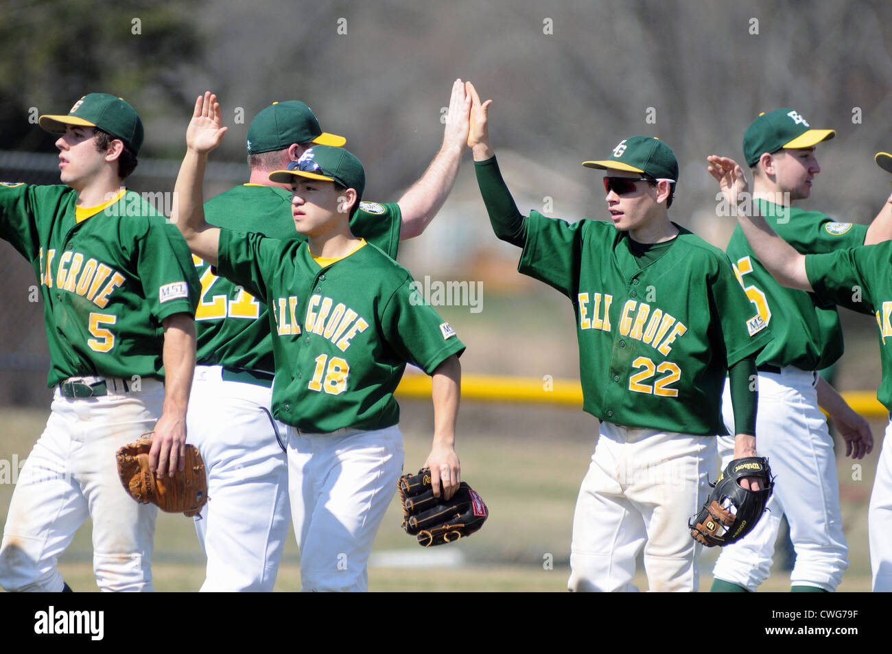 Baseball Teammates congratulate celebrating victory high school game ...