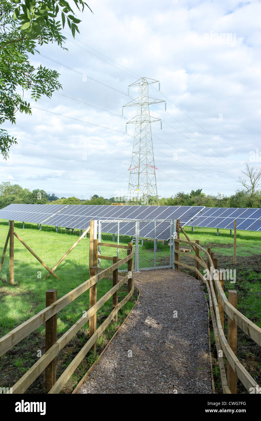 Solar panels in a field behind locked gates with electricity pylon in ...