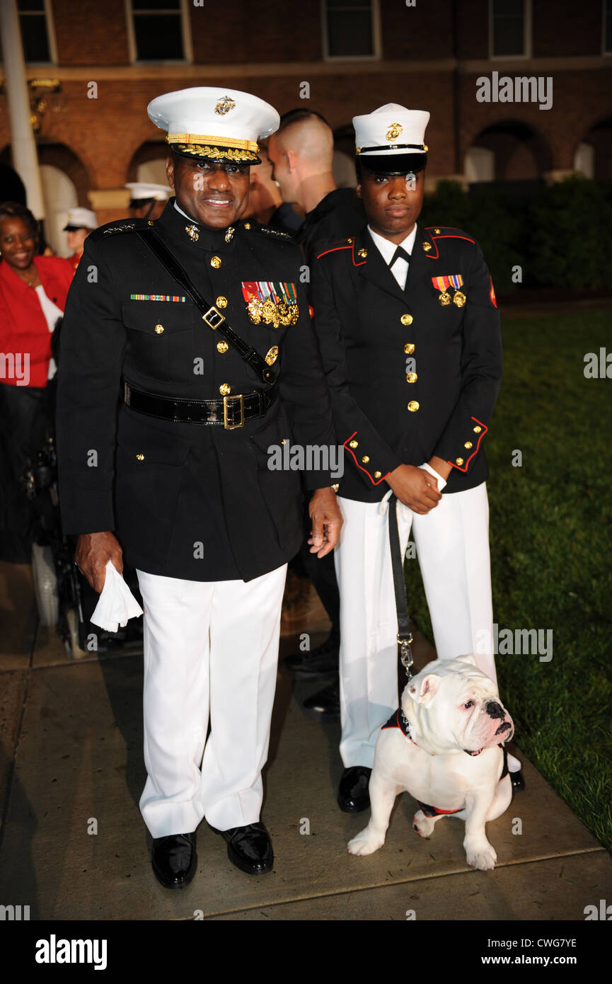 Chesty the bulldog hi-res stock photography and images - Alamy