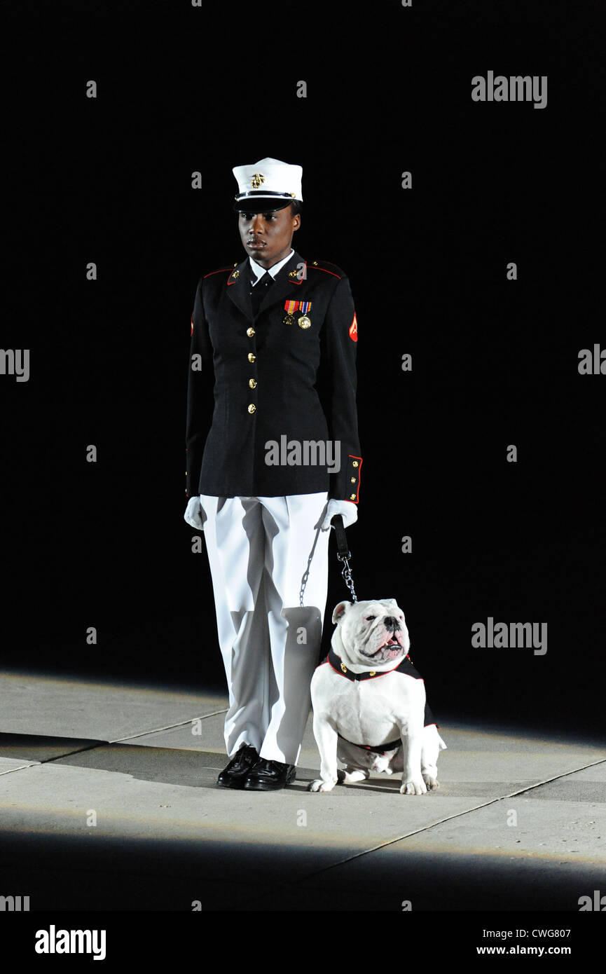 A US Marine mascot handler stands at the center walk with the Marine ...