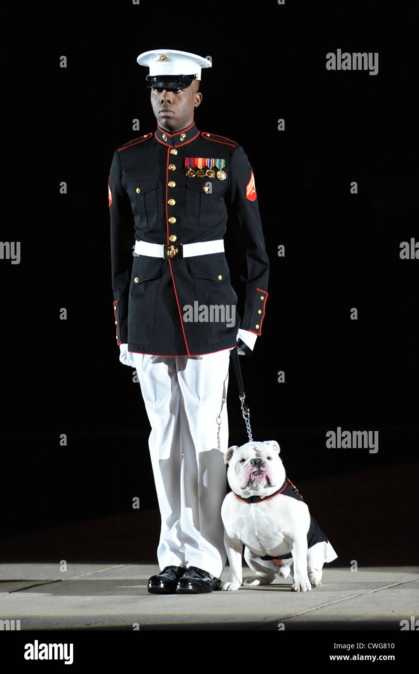 A US Marine mascot handler stands at the center walk with the Marine ...
