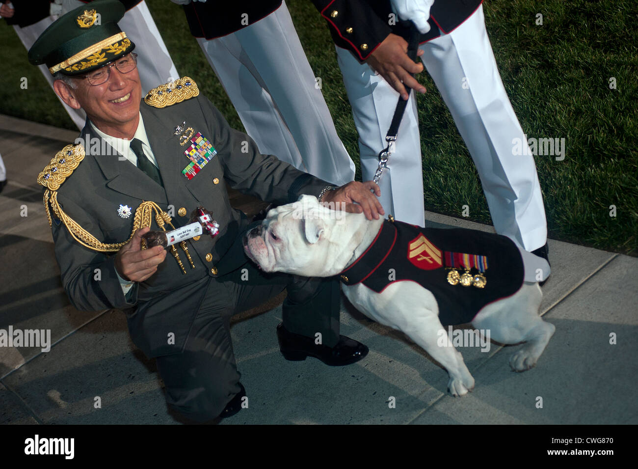 Chesty XIII, the official US Marine Corps mascot is presented with a ...